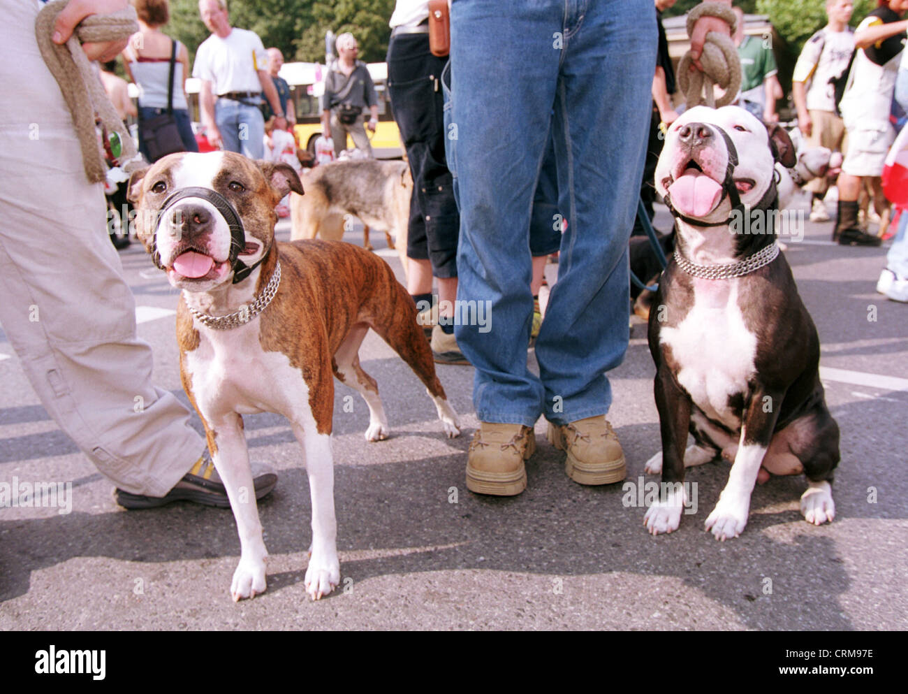 Fight night berlin hi-res stock photography and images - Alamy
