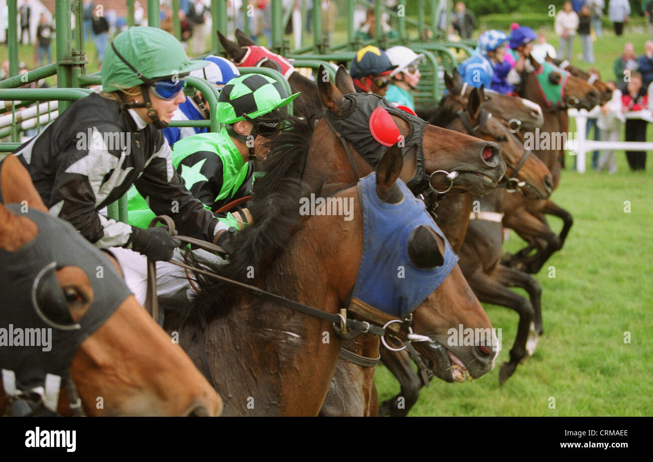 Horse Racing Start High Resolution Stock Photography and Images - Alamy