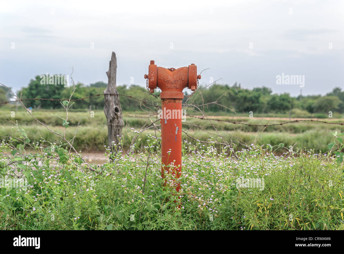English fire hydrant hi-res stock photography and images - Alamy