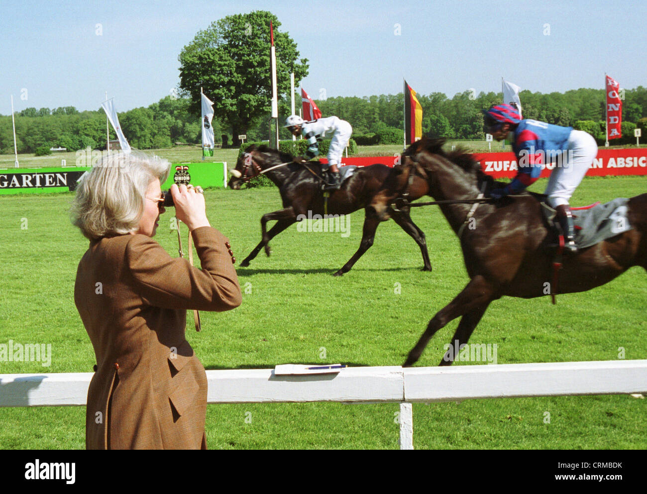 A spectator at the track watching the horses Stock Photo - Alamy
