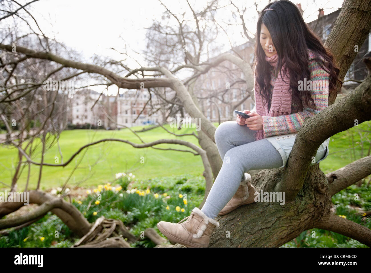 Sitting on tree branch hi-res stock photography and images - Alamy