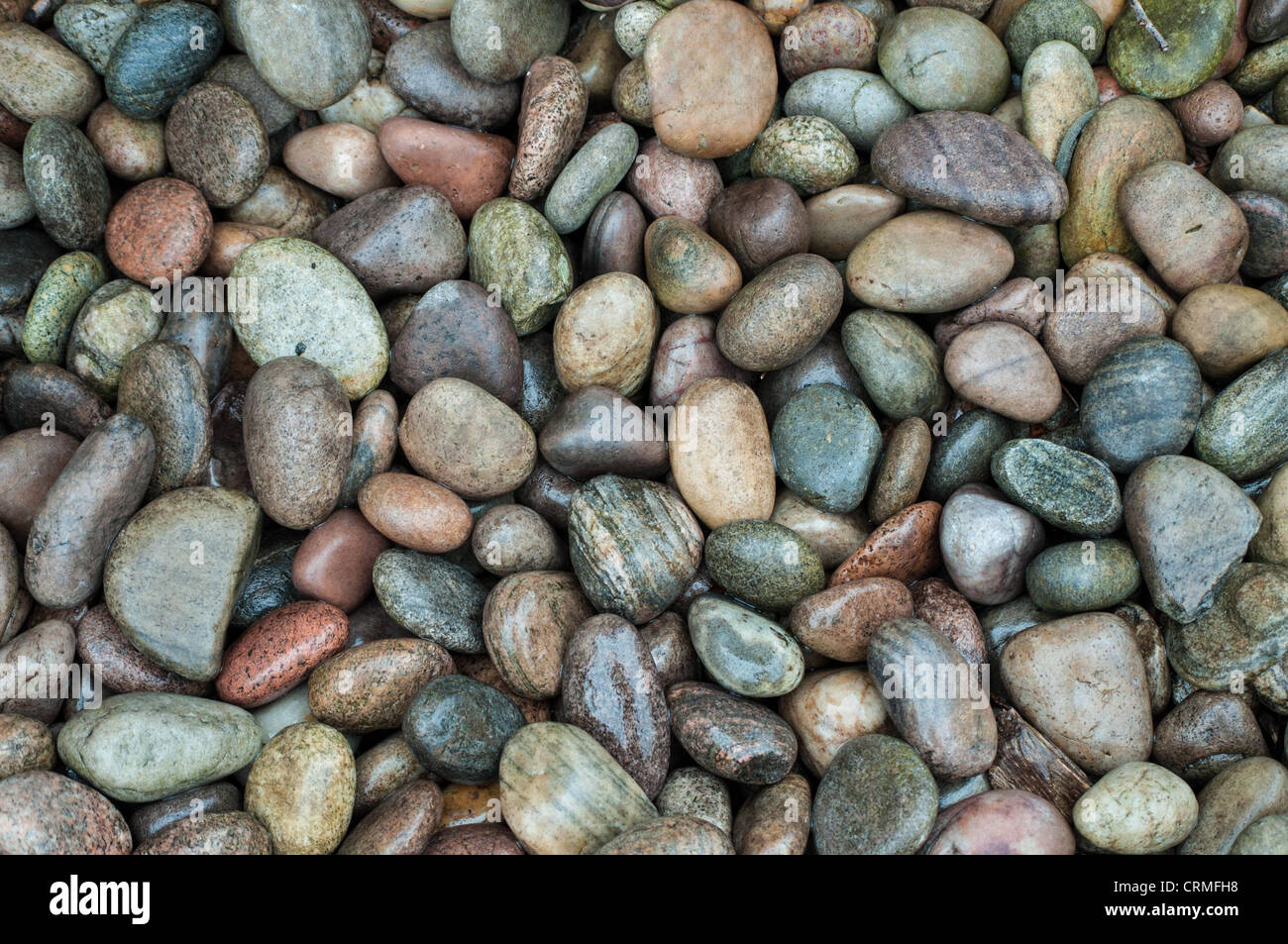Close-up photograph of beautiful pebbles of different colors and sizes ...