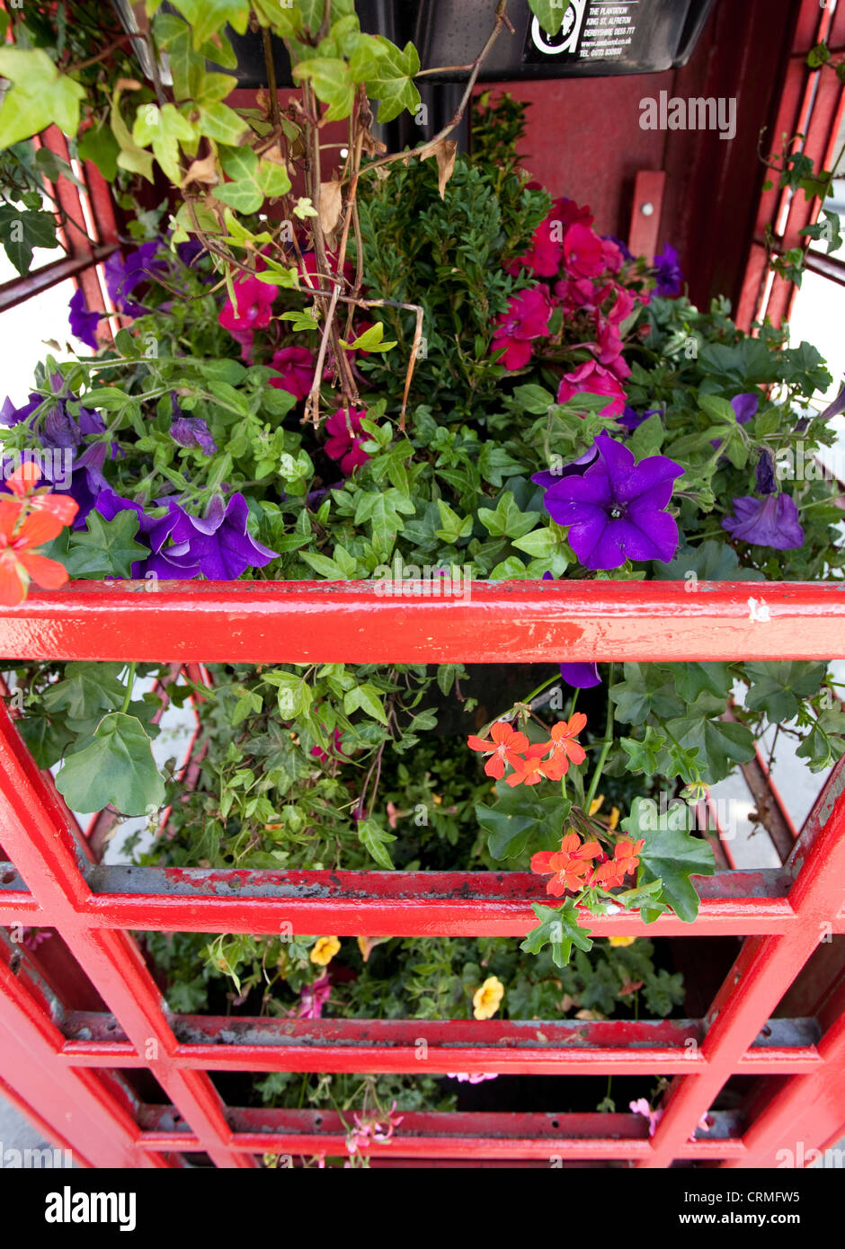 Red telephone boxes converted to flower boxes in Archway, London Stock ...