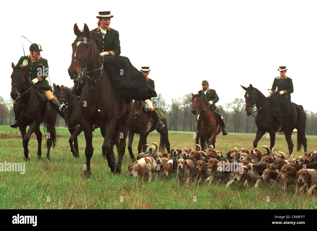 Hubertus hunt hi-res stock photography and images - Alamy