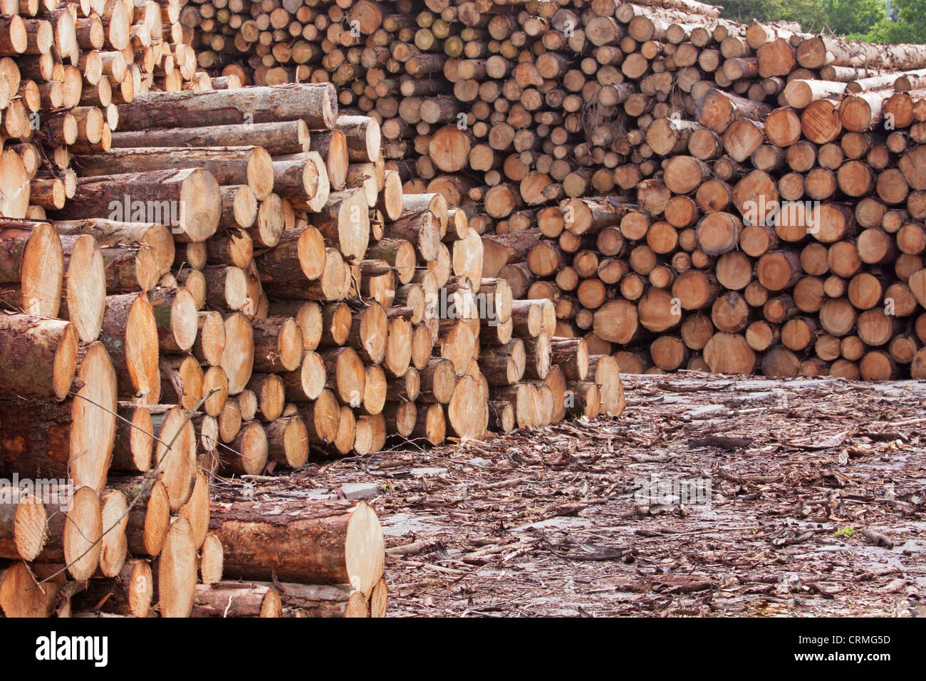 Wood timber yard uk hi-res stock photography and images - Alamy