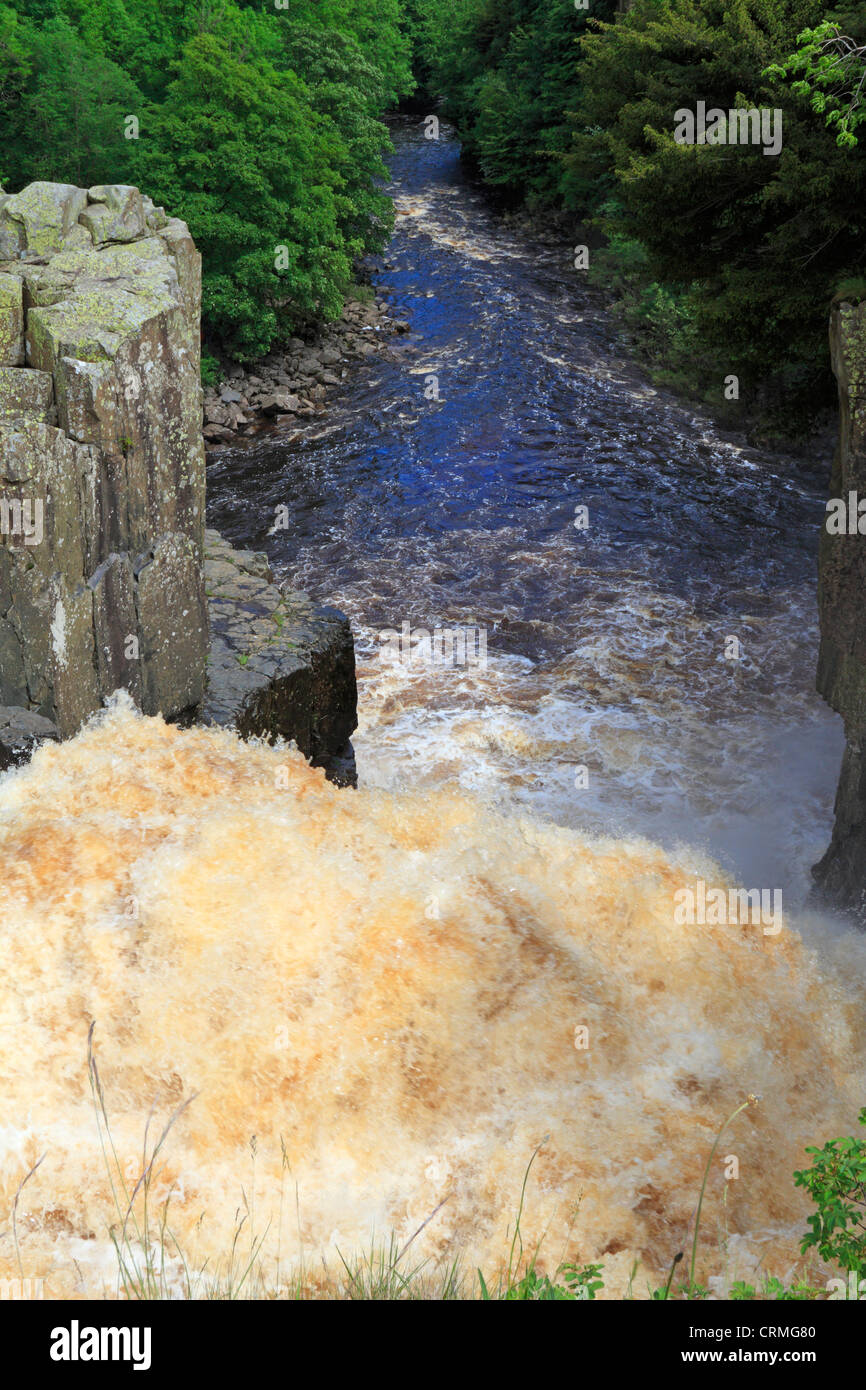 The River Tees tumbles down High Force waterfall after heavy rain near ...
