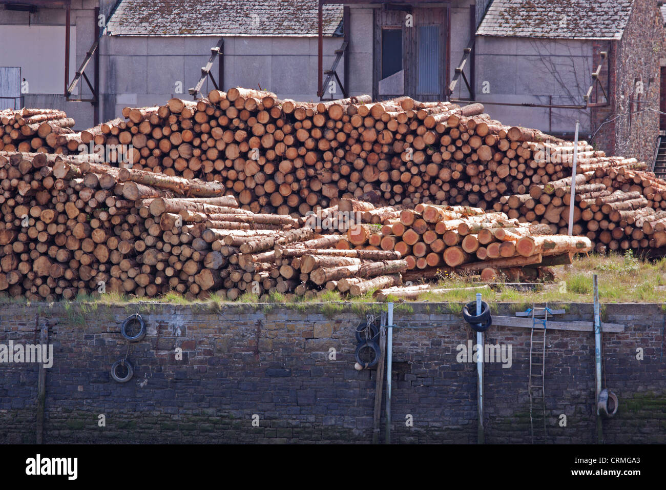 Cargo vessel loading timber hi-res stock photography and images - Alamy