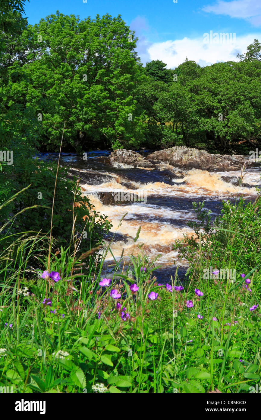 The River Tees at Low Force waterfall near Middleton in Teesdale ...