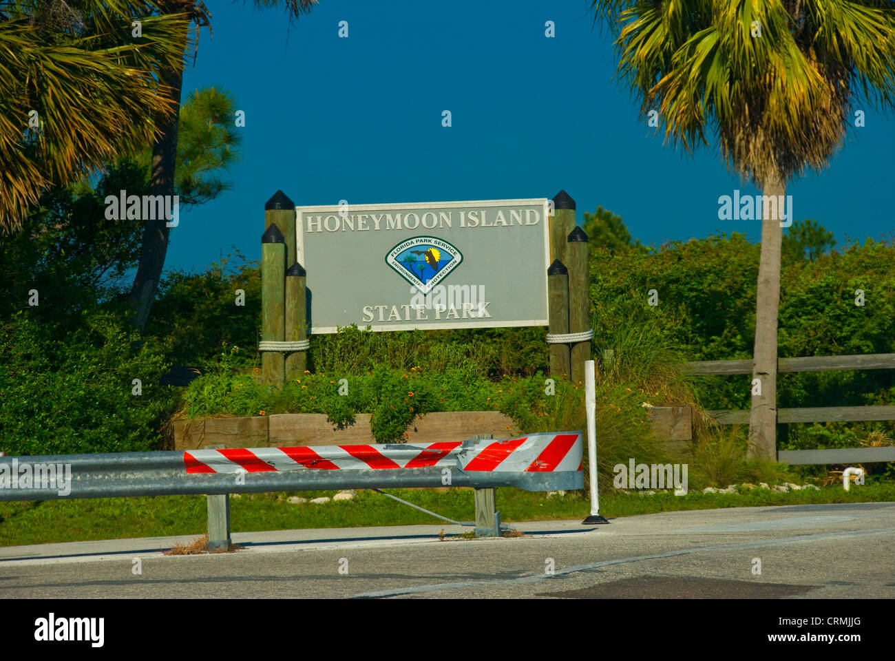Dunedin from the ocean beach dunedin from the ocean beach hi-res stock ...