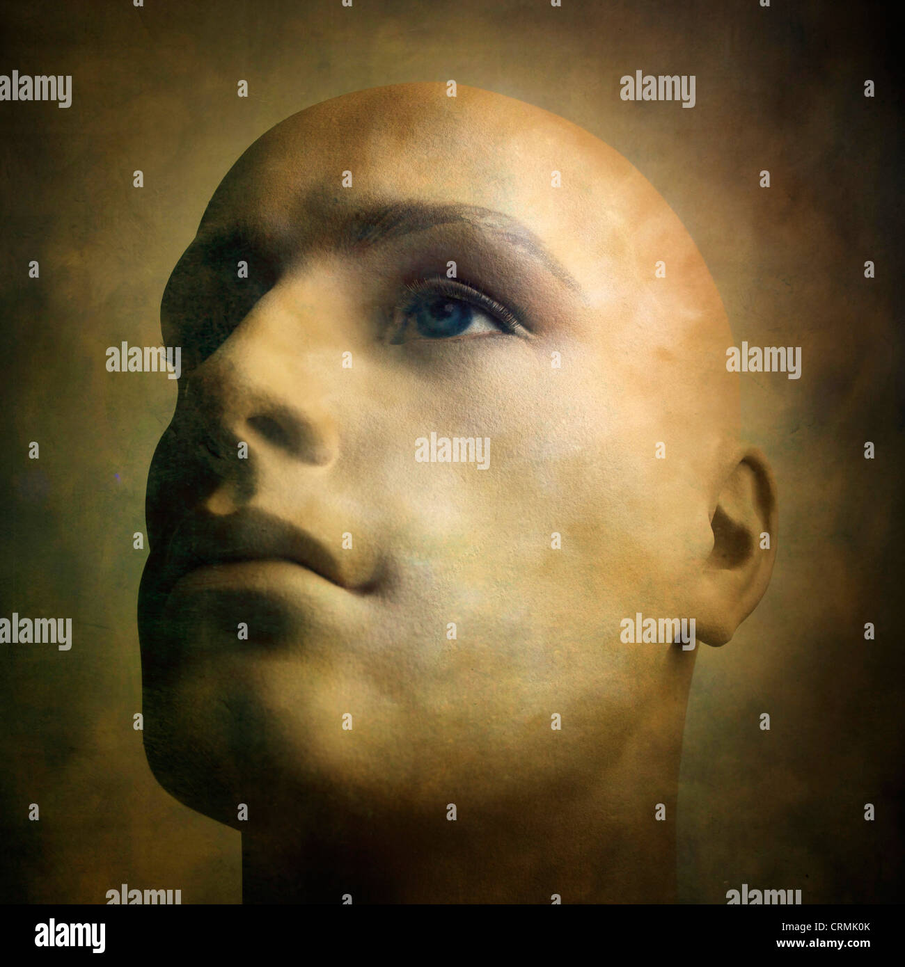 Bald head hi-res stock photography and images - Alamy
