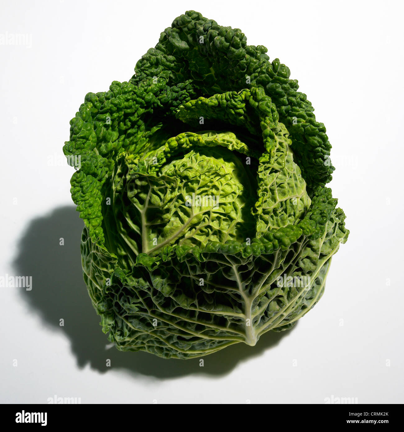Still life with a cabbage hi-res stock photography and images - Alamy