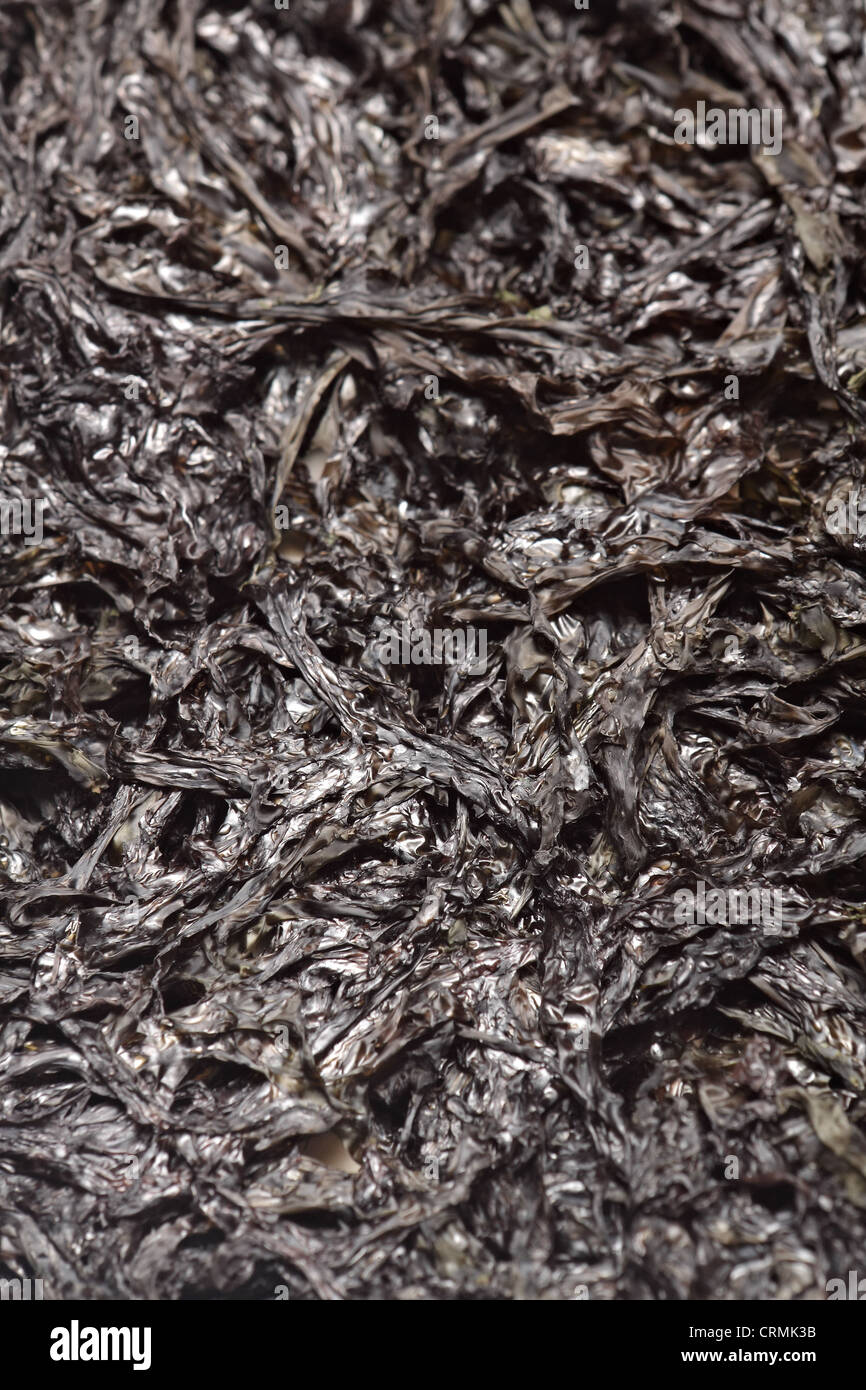 One type of dried seaweed commonly used for salads and soups Stock ...