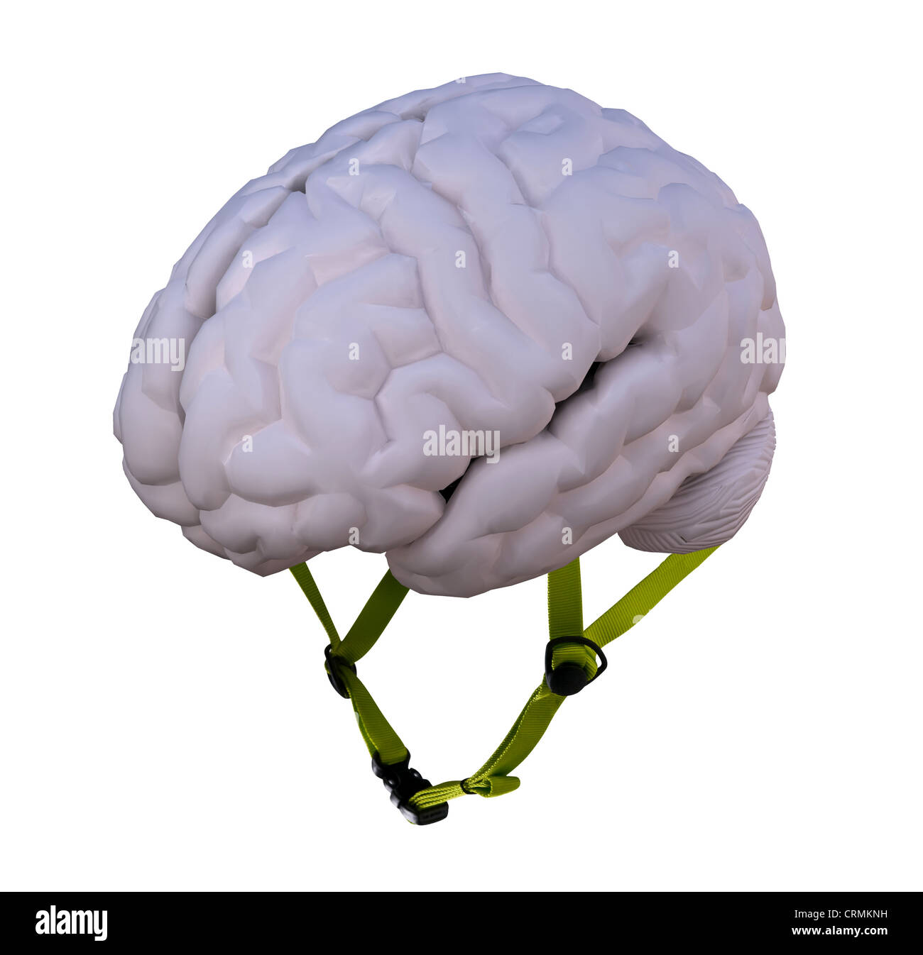 brain helmet isolated on white background Stock Photo - Alamy