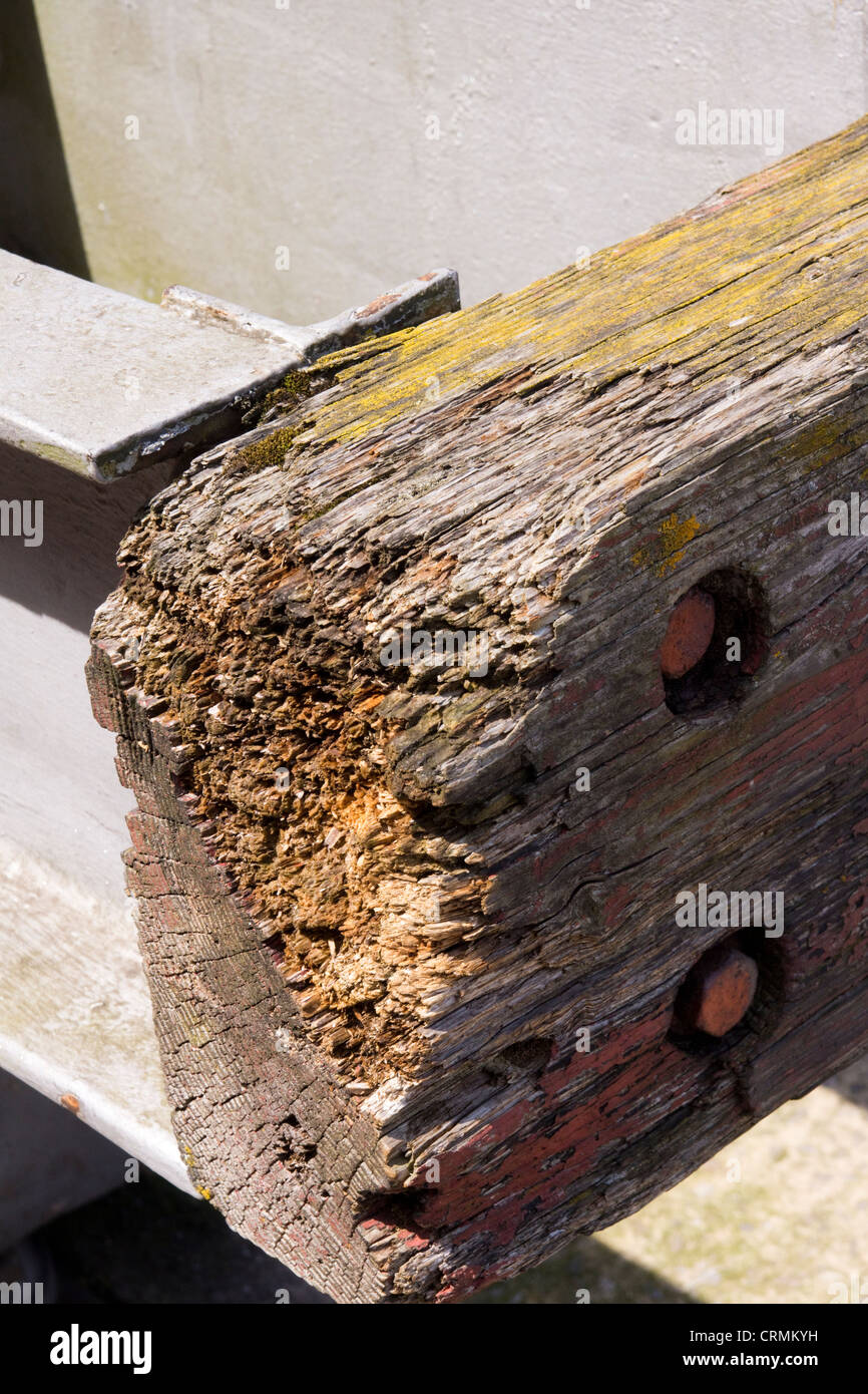 Rotten Timber Stock Photos & Rotten Timber Stock Images - Alamy