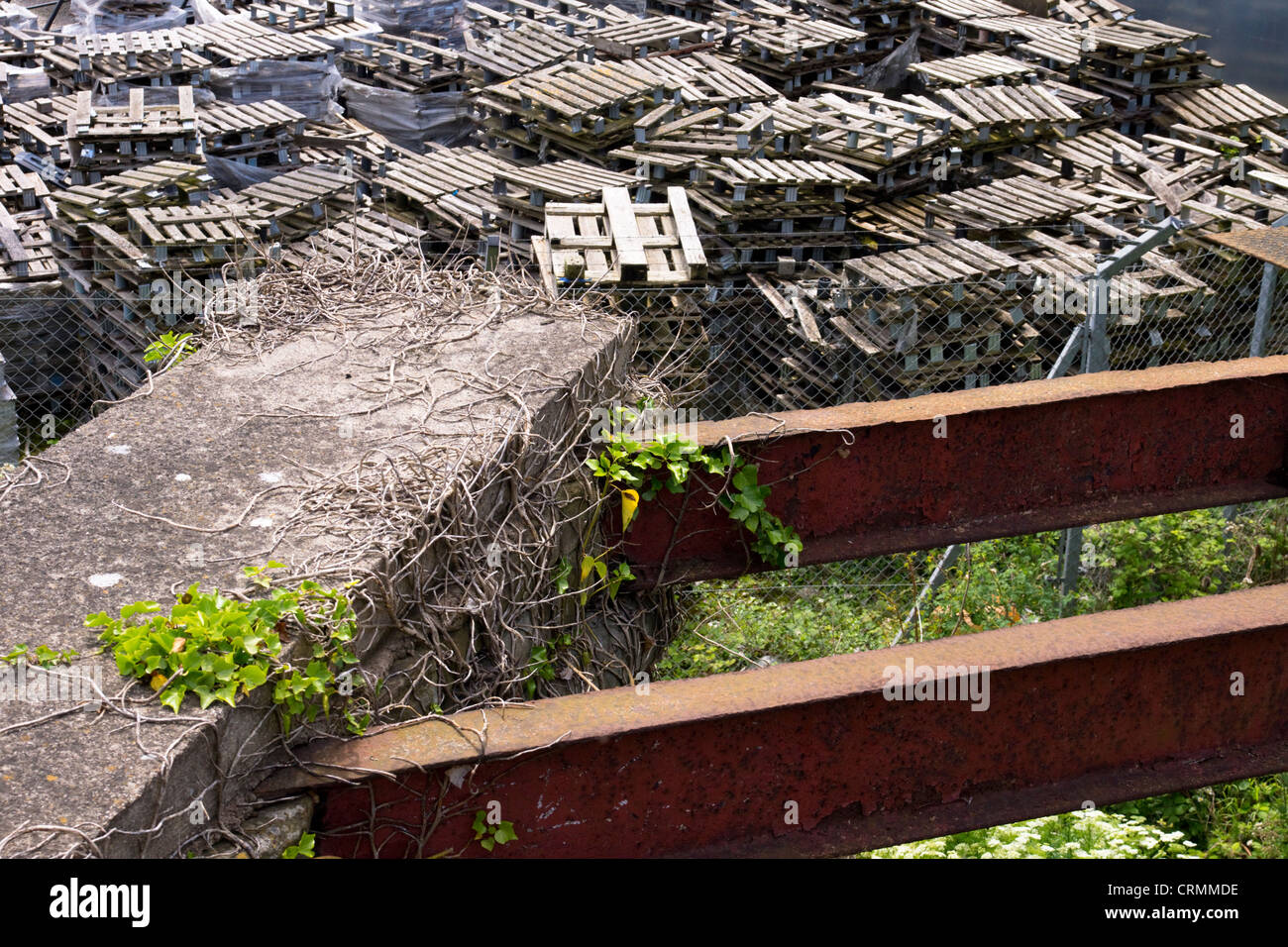 Sharpness Gloucestershire England UK Stock Photo - Alamy