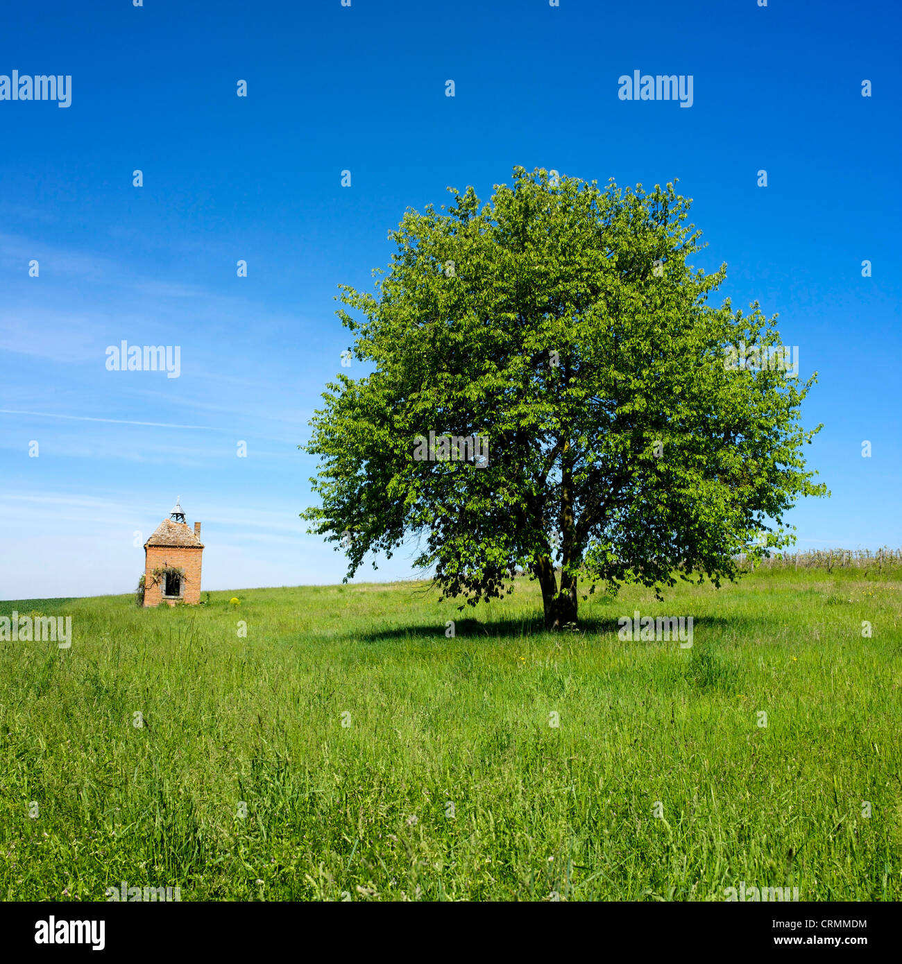 Dovecite hi-res stock photography and images - Alamy