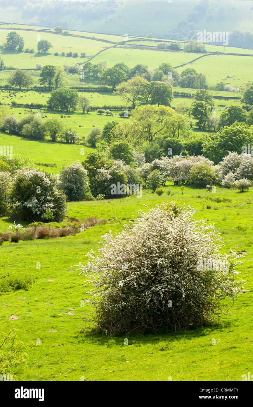 Cheshire countryside on outskirts macclesfield hi-res stock photography ...