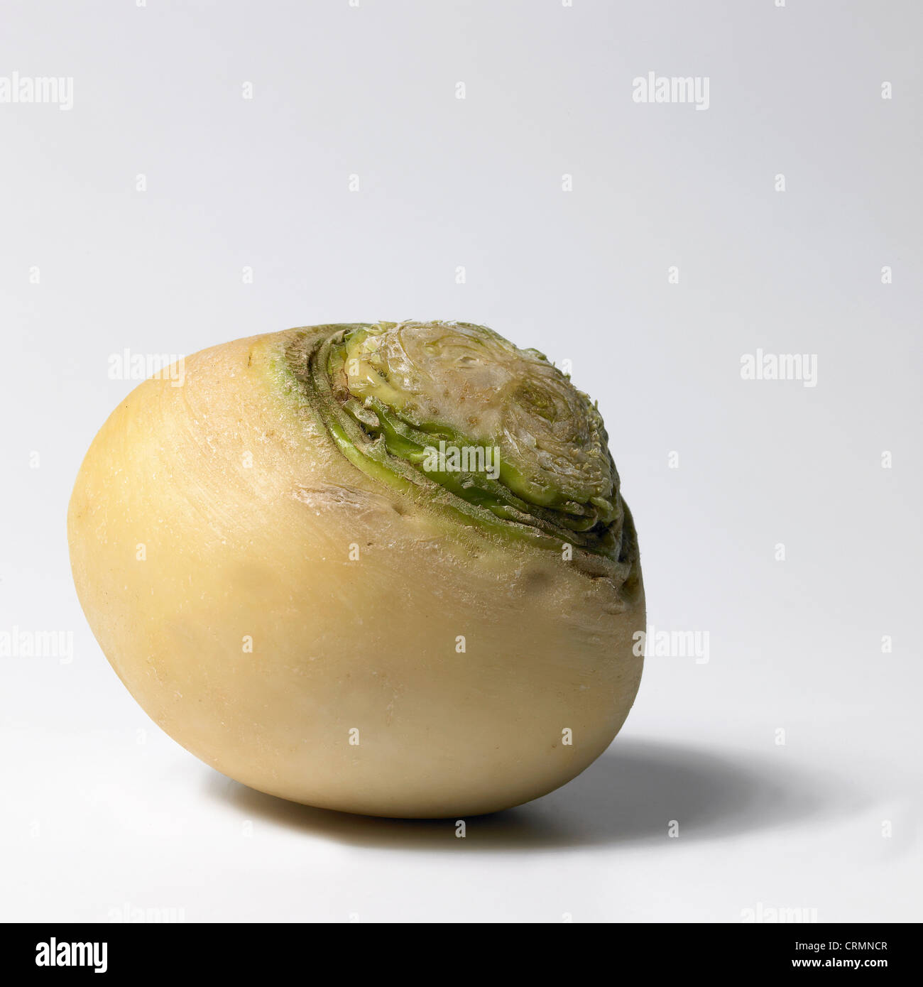 Turnip 1 hi-res stock photography and images - Alamy