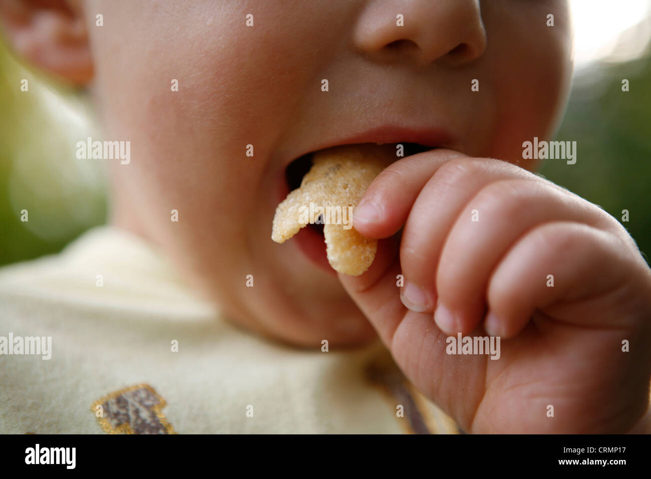 A baby nibbles on an unhealthy potato crisp Stock Photo - Alamy