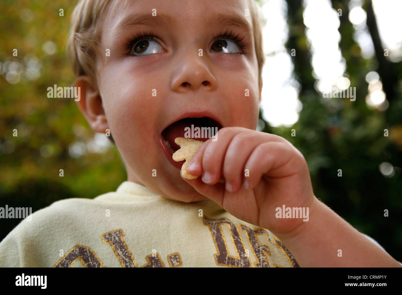 A baby nibbles on an unhealthy potato crisp Stock Photo - Alamy