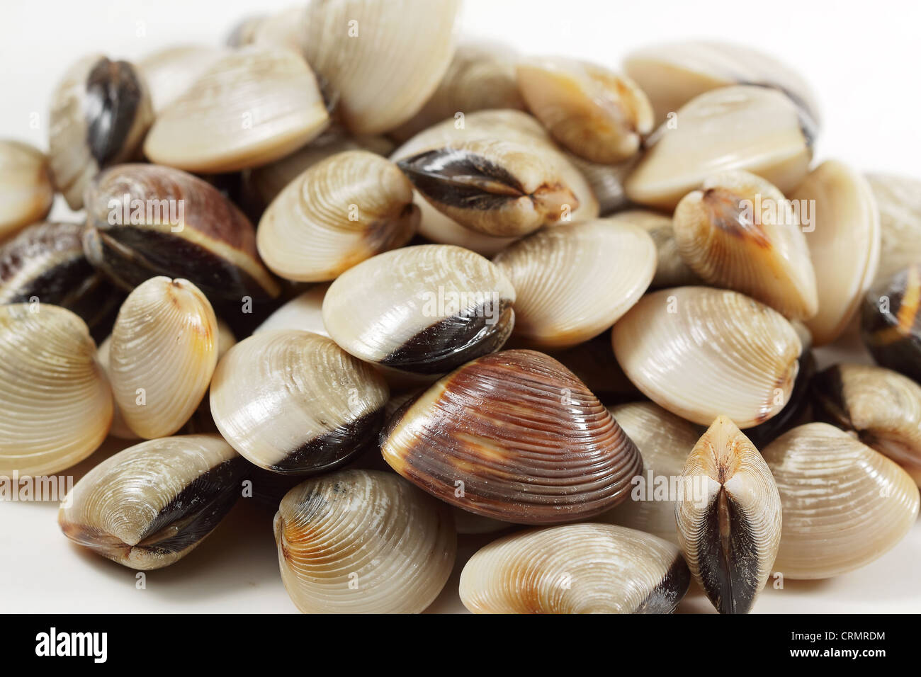 Egg shell shrimp hi-res stock photography and images - Alamy
