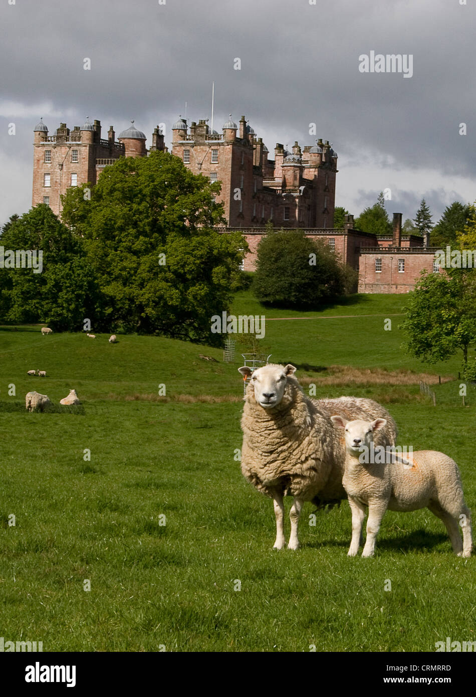 Drumlanrig Castle Grounds High Resolution Stock Photography and Images ...