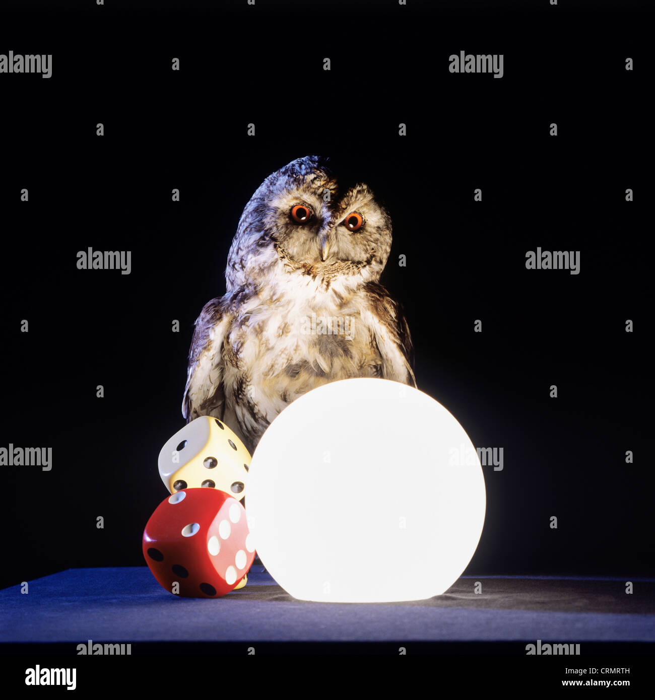 Owls stuffed animals hi-res stock photography and images - Alamy
