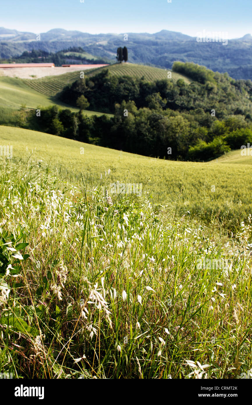 Summer weather in florence hi-res stock photography and images - Alamy