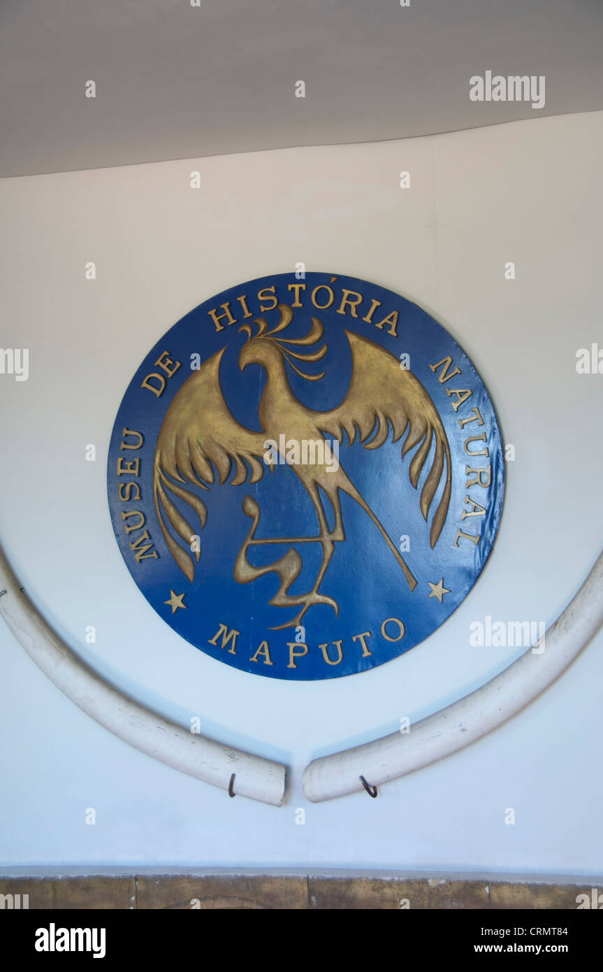 Africa, Mozambique. Capital city of Maputo, Museum of Natural History ...
