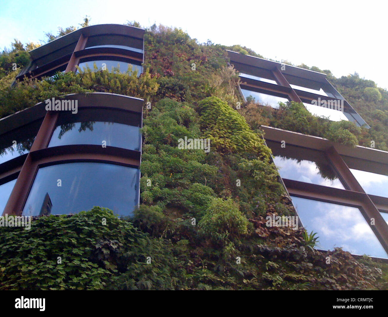 A green walled building in Paris, France Stock Photo - Alamy