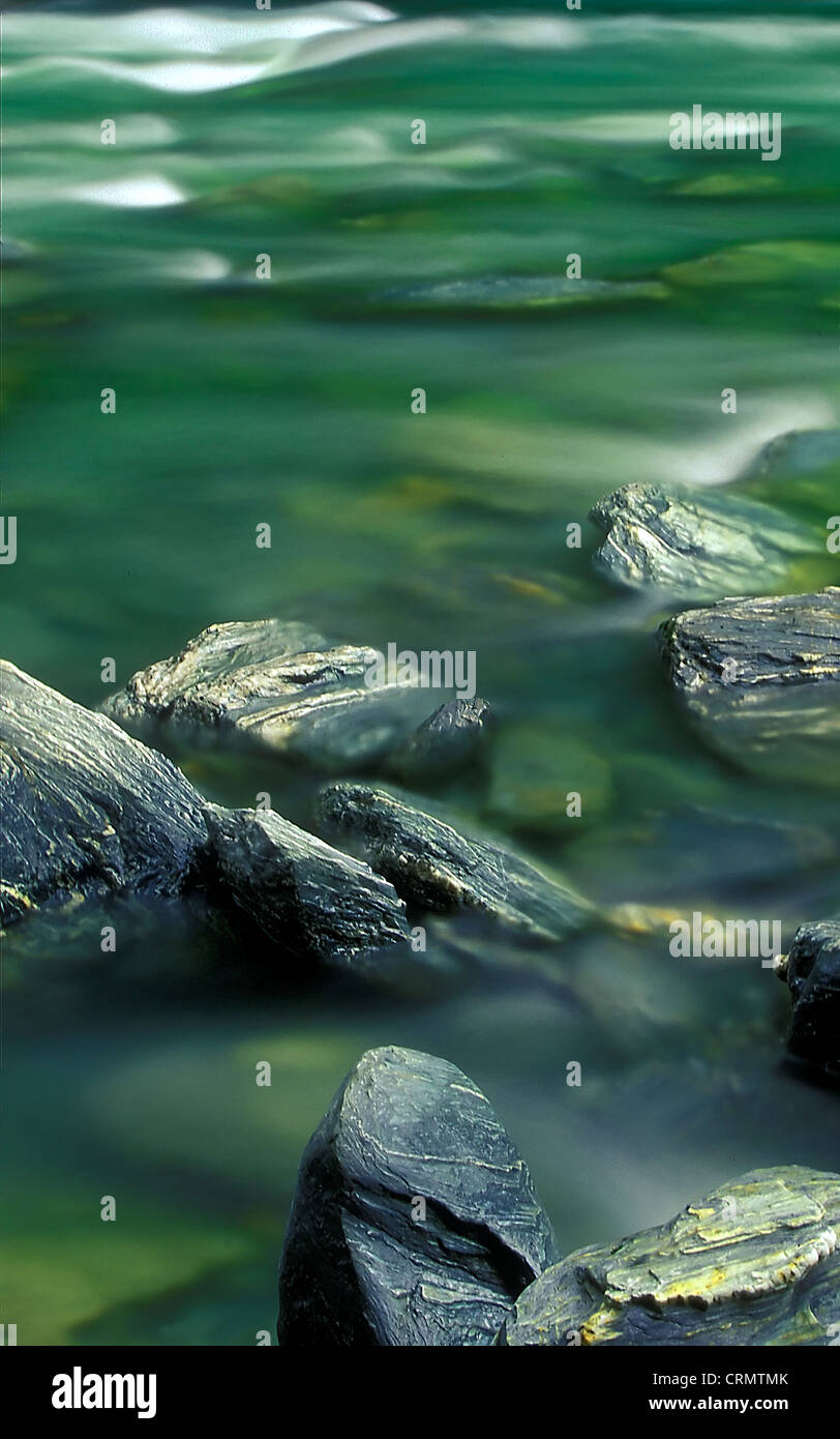 Flowing river filled with algae on the south island of New Zealand ...
