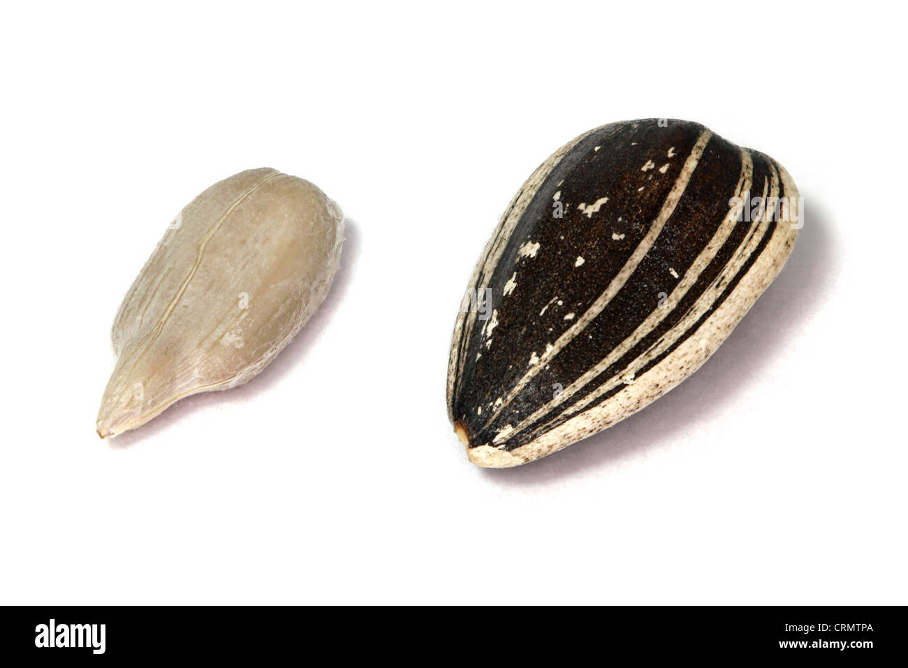 Sunflower seeds, hulled and dehulled Stock Photo - Alamy