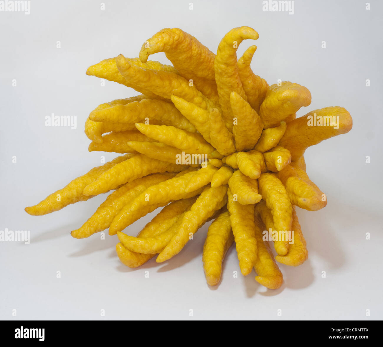 Buddha's hand fruit Stock Photo - Alamy