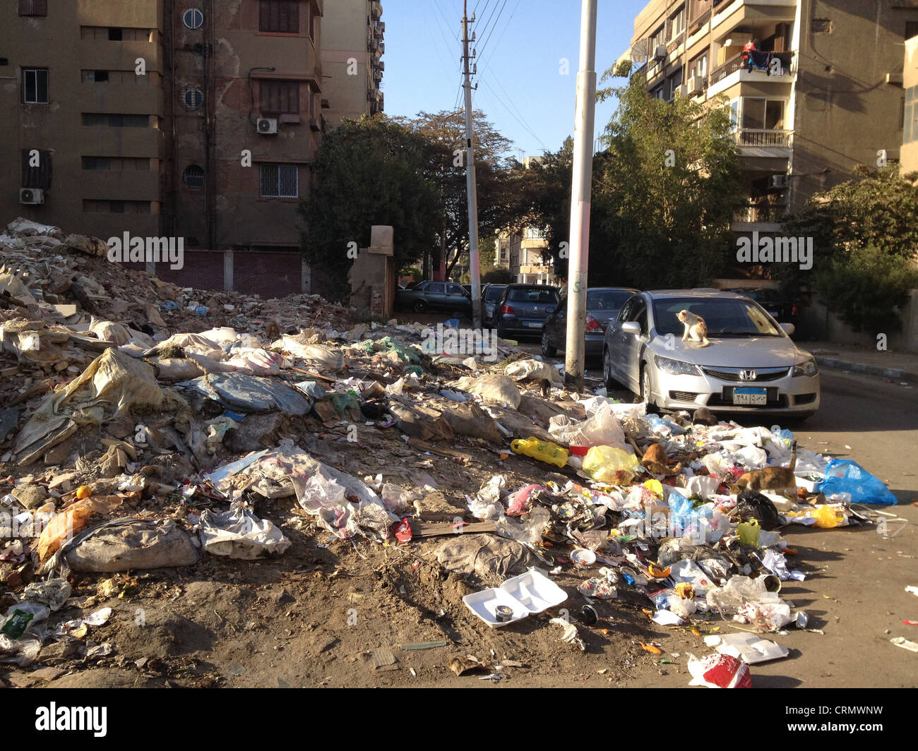 Garbage littered street in Cairo Egypt Stock Photo - Alamy