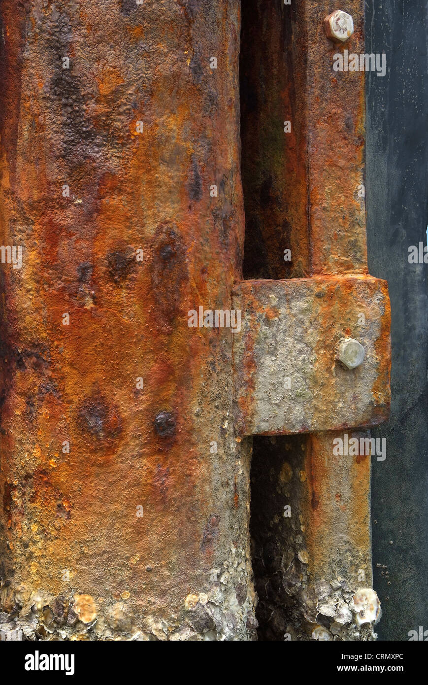 Barnacle adhesion on steel poles with rust Stock Photo - Alamy