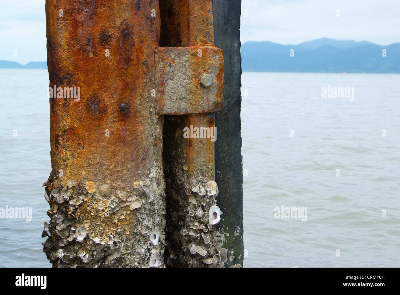 Barnacle adhesion on steel poles with rust Stock Photo - Alamy