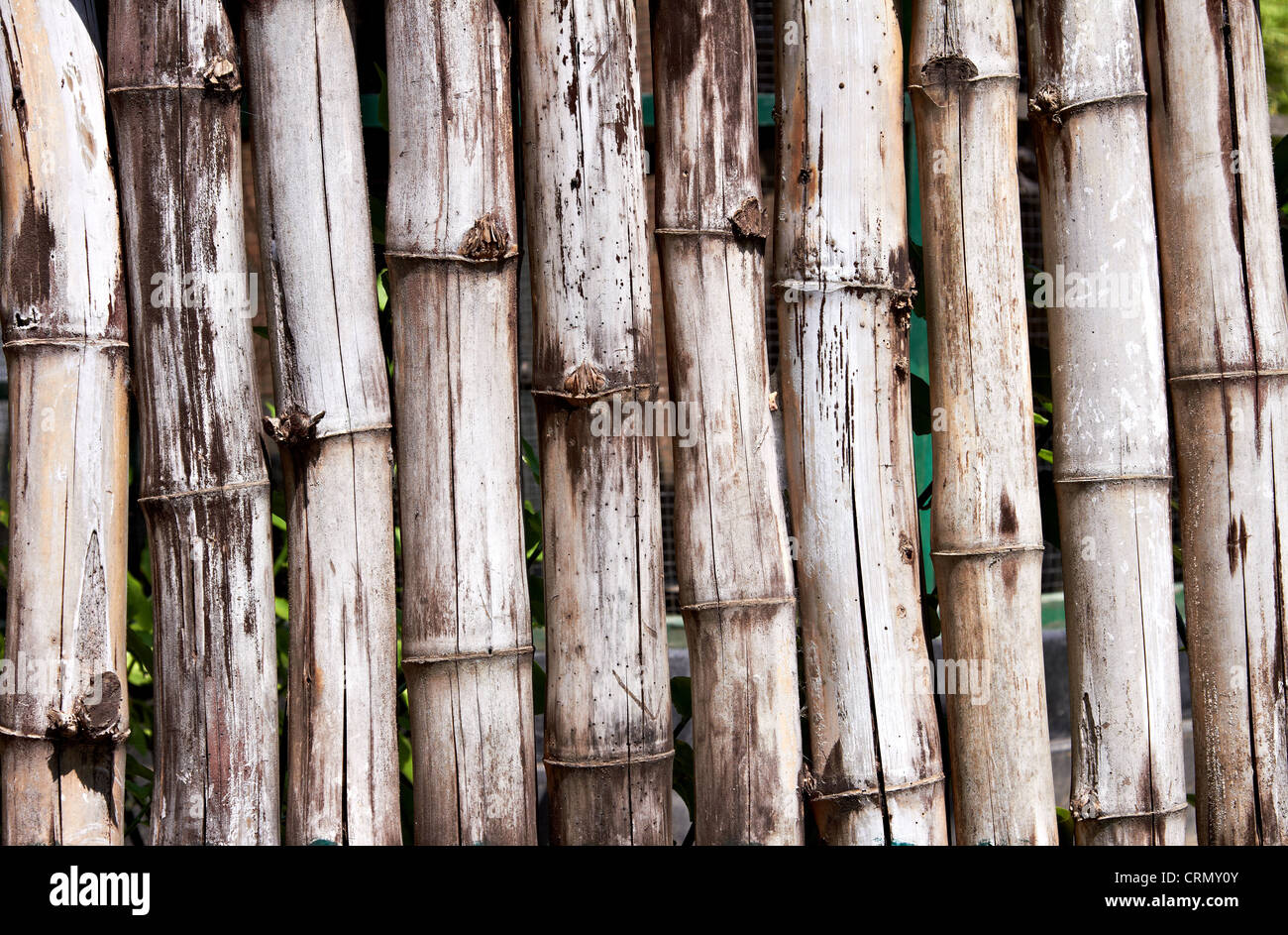 Closeup natural bamboo fence as horizontal background Stock Photo - Alamy