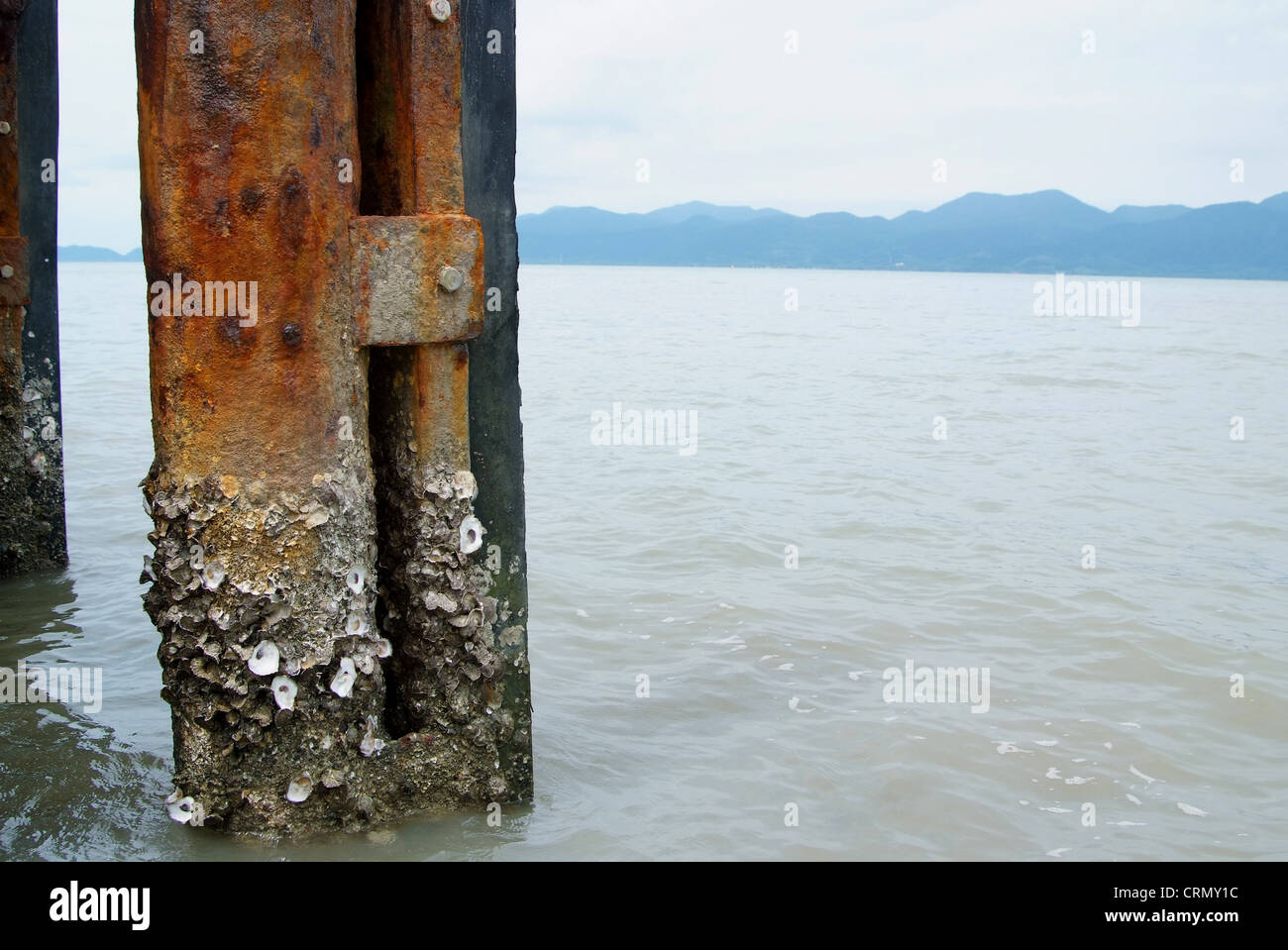 Barnacle adhesion on steel poles with rust Stock Photo - Alamy