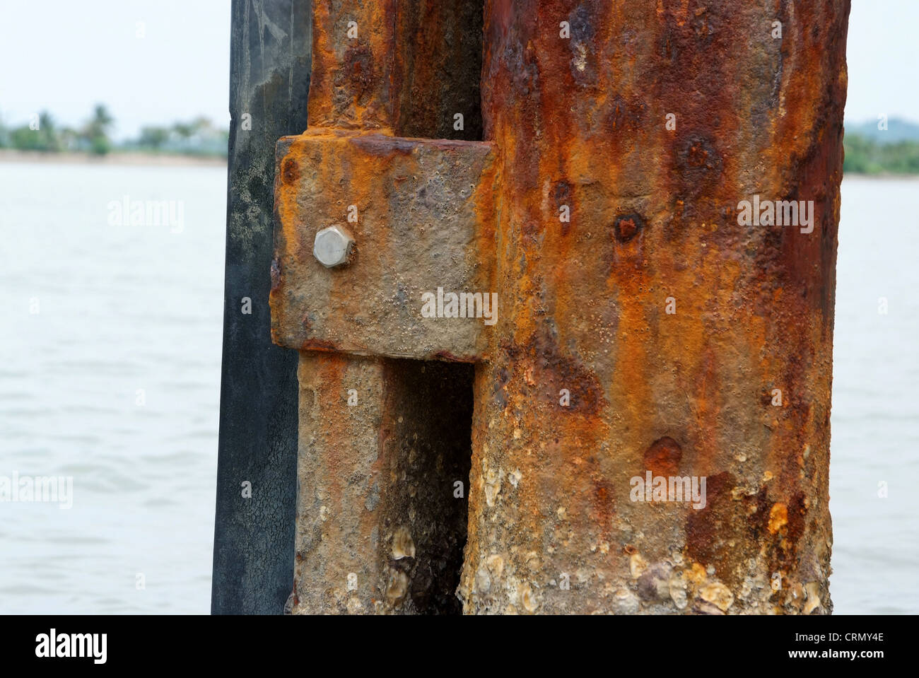 Barnacle adhesion on steel poles with rust Stock Photo - Alamy