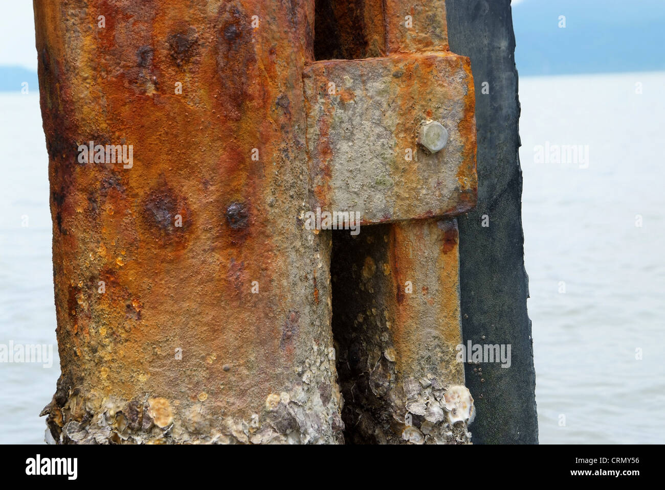 Barnacle adhesion on steel poles with rust Stock Photo - Alamy