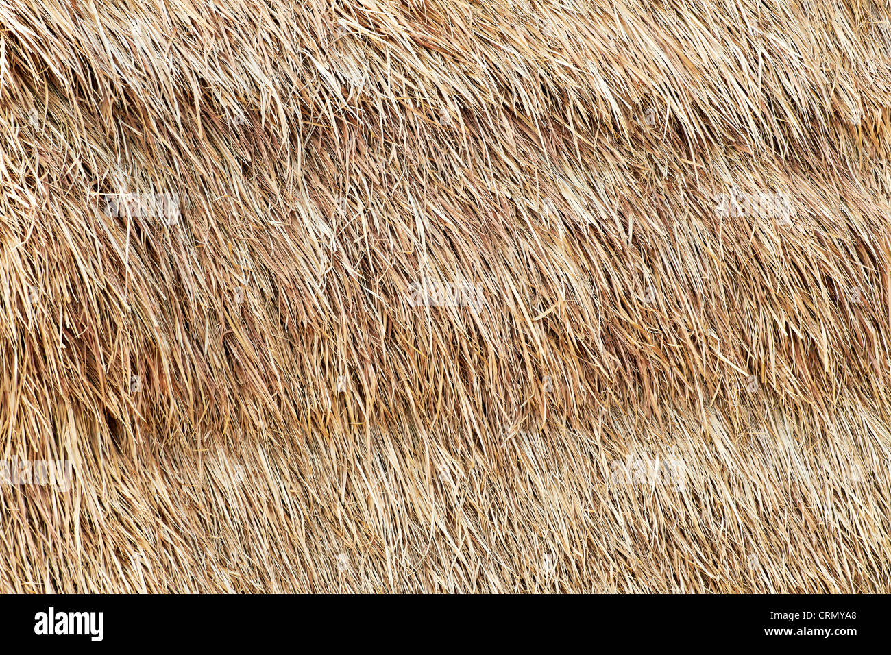 Part of thatched roof as horizontal background Stock Photo - Alamy