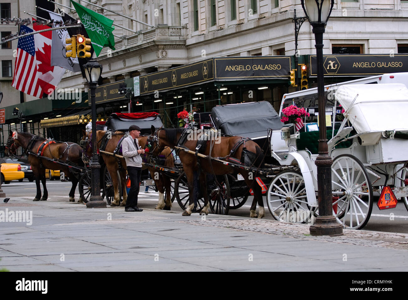 Horse drawn carriage handsome carriage hi-res stock photography and ...