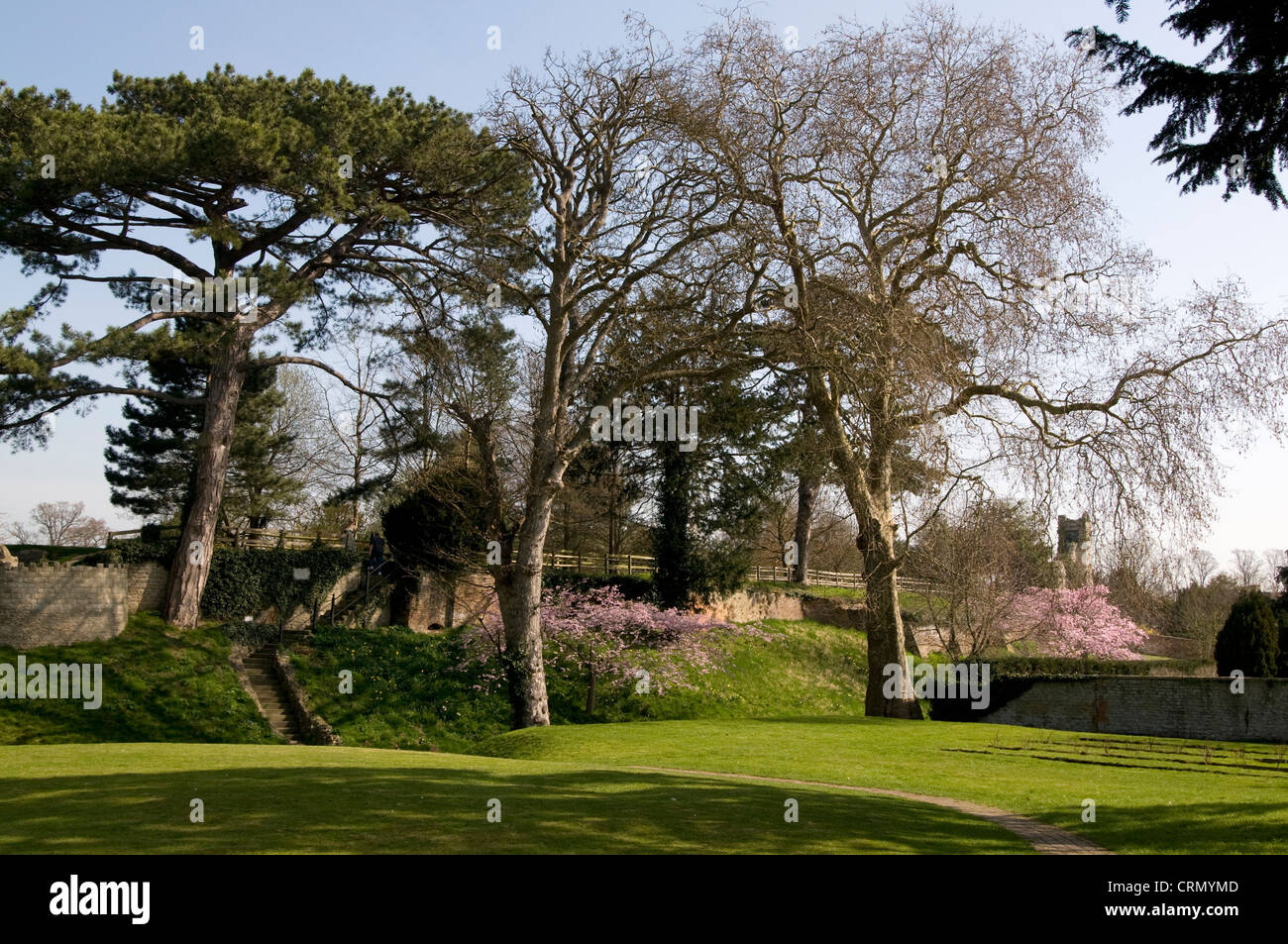 The ruins of Wallingford castle at Wallingford, Oxfordshire,Britain ...