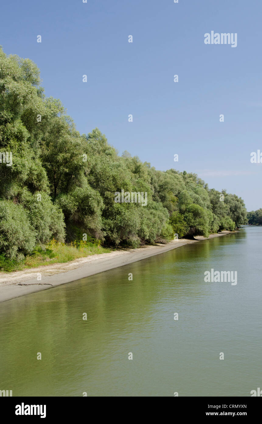 Romania, Dobrudgea region, Tulcea, Danube Delta. Sulina channel lined ...