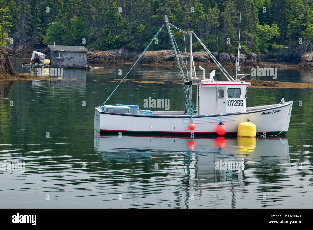 Blacks harbour new brunswick canada hi-res stock photography and images ...