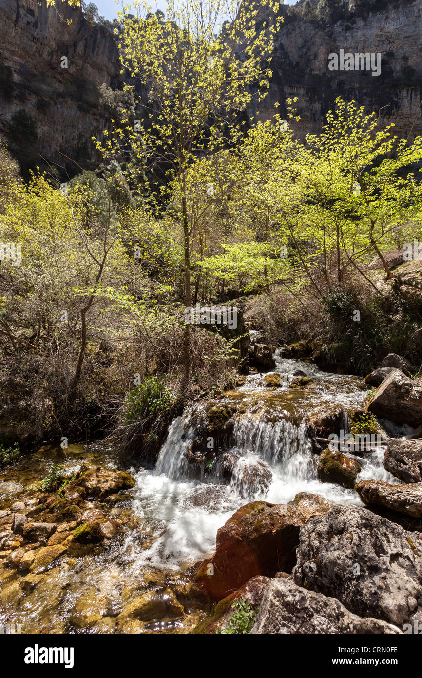 Rio mundo hi-res stock photography and images - Alamy