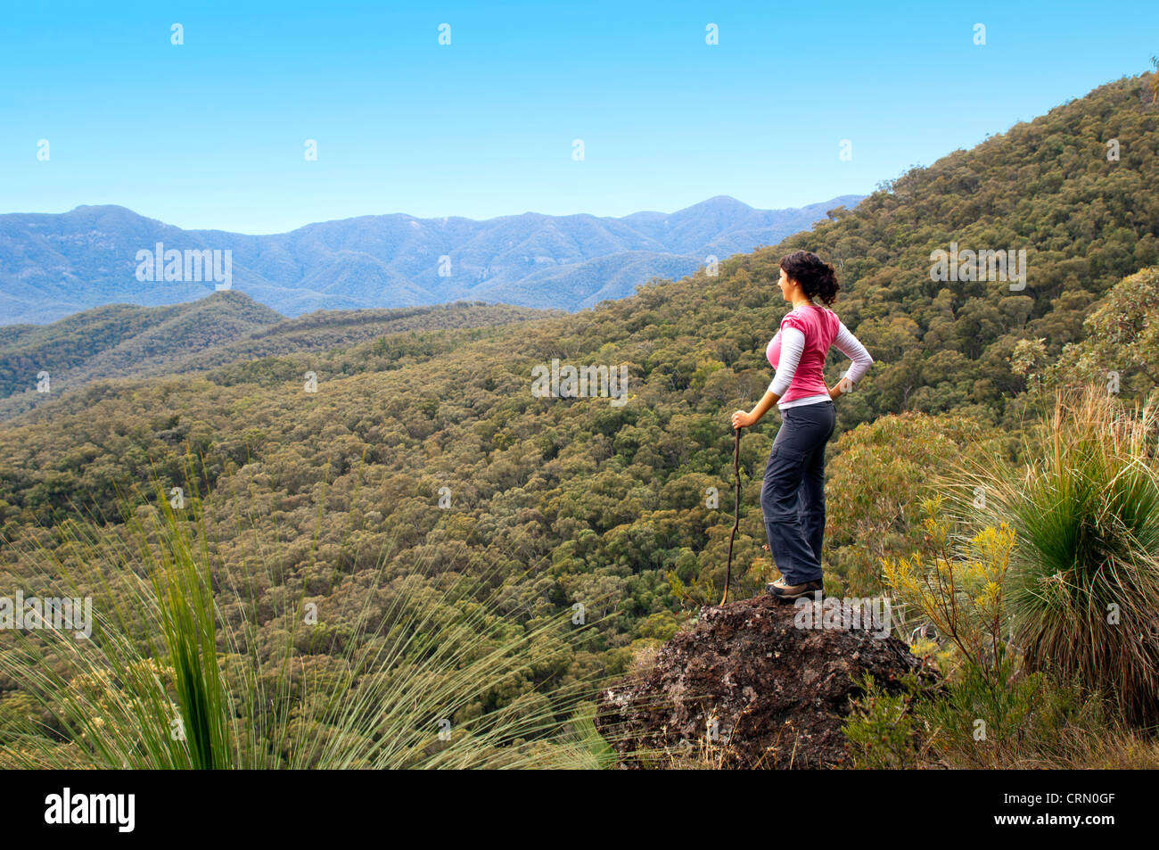 Female Hiker Blue Mountains High Resolution Stock Photography and ...