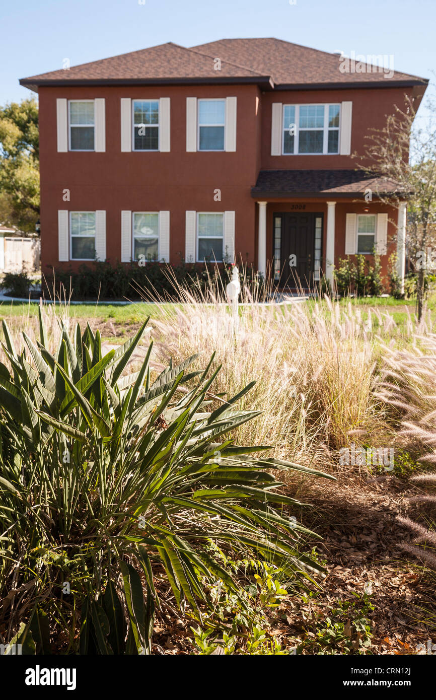 Two Story house and Florida friendly sea oat yard, Tampa, FL Stock ...