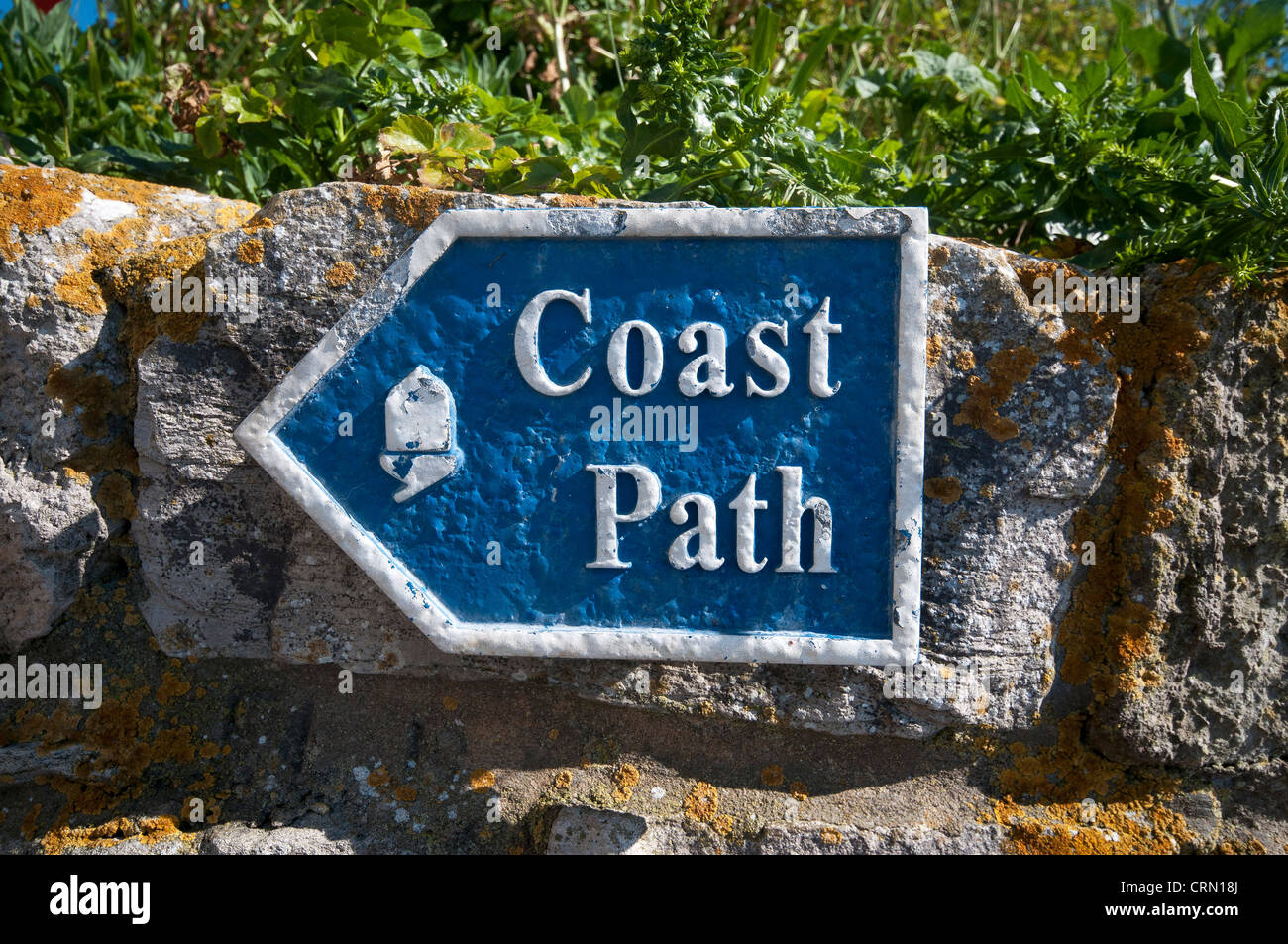 Blue metal Coast Path sign on stone wall Stock Photo - Alamy