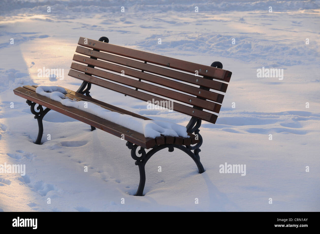 Bench in the park. Winter time Stock Photo - Alamy